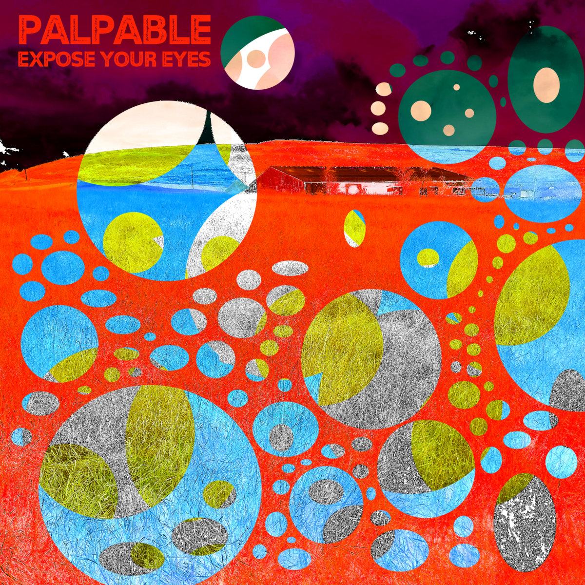 Palpable // Expose Your Eyes – Submarine Broadcasting Company